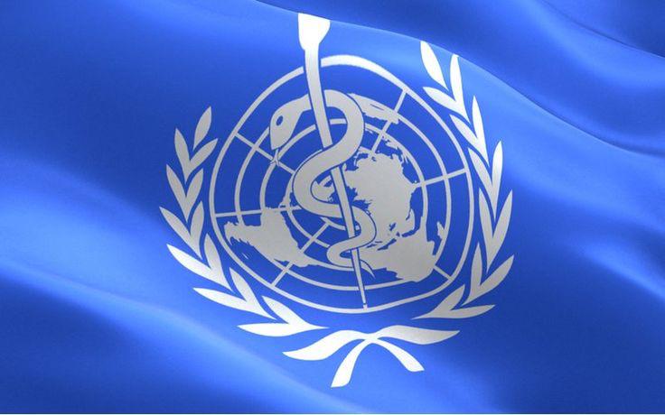 WHO unveils framework to uncover origins of new pathogens – ERITVNEWS